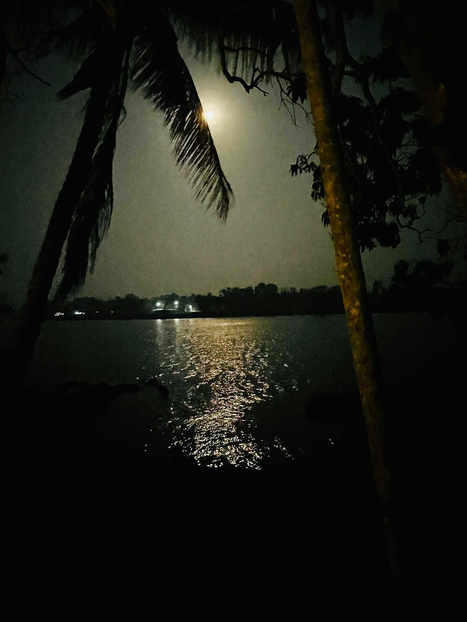 Baor Bitan, Lake View Eco Resort, Call 9051160870