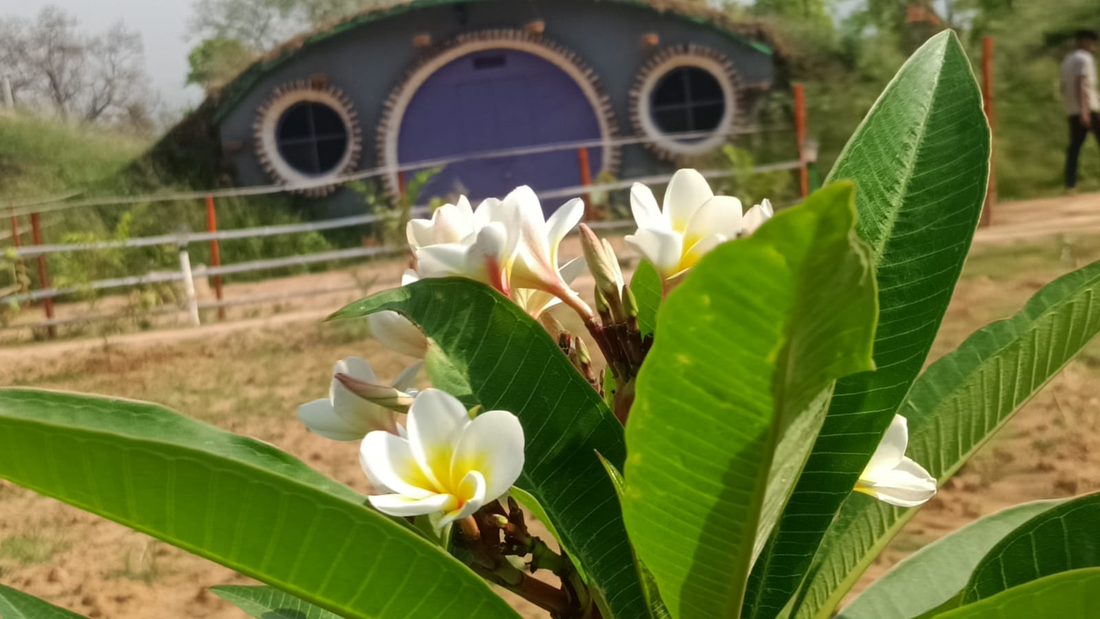 Patal Ghar - Hobbit Stay, Camp at Purulia, Call 9038633211