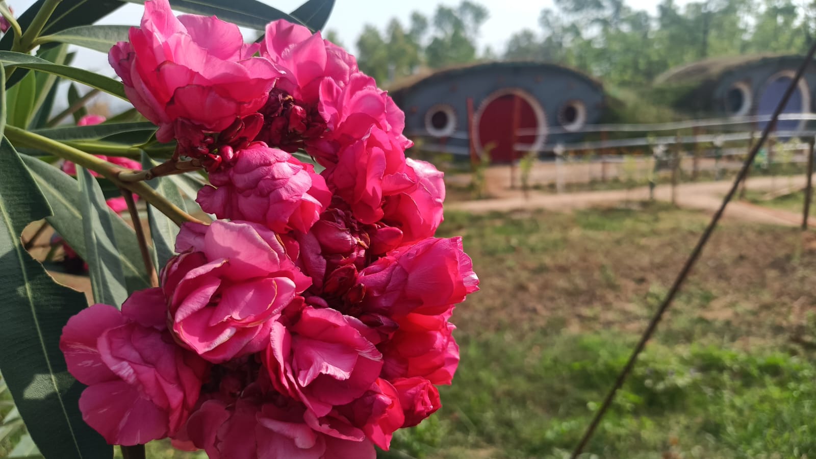 Patal Ghar - Hobbit Stay, Camp at Purulia, Call 9038633211